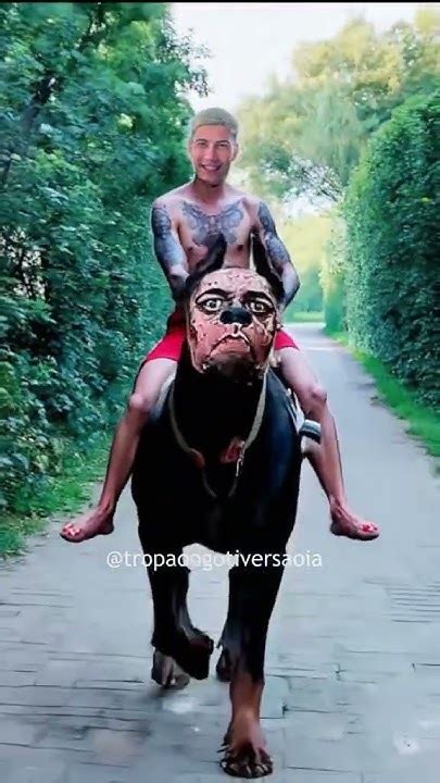 Yuri 22 Bapi Homit Com Seu Dog Youtube