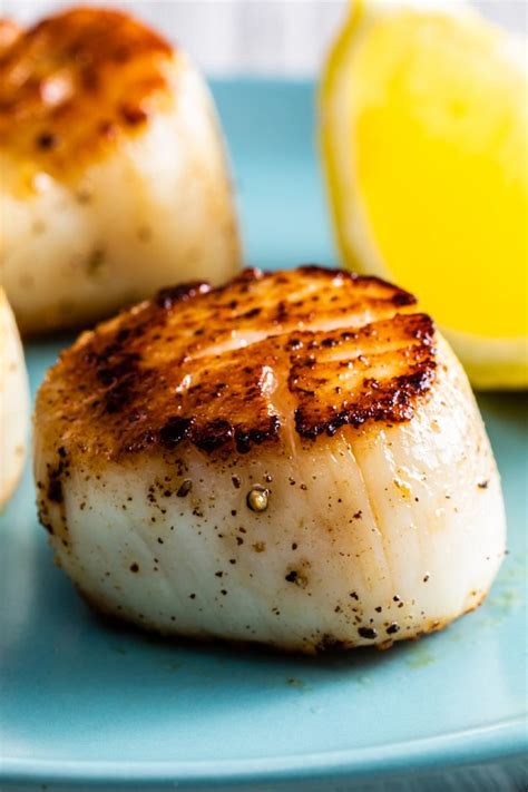 Simple Seared Scallops Americas Test Kitchen Recipe Recipe Recipes Scallop Recipes Cooking