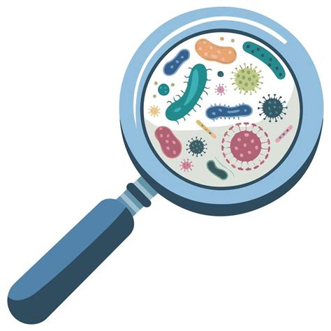 Bacteria Under Microscope 59208536 Vector Art At Vecteezy
