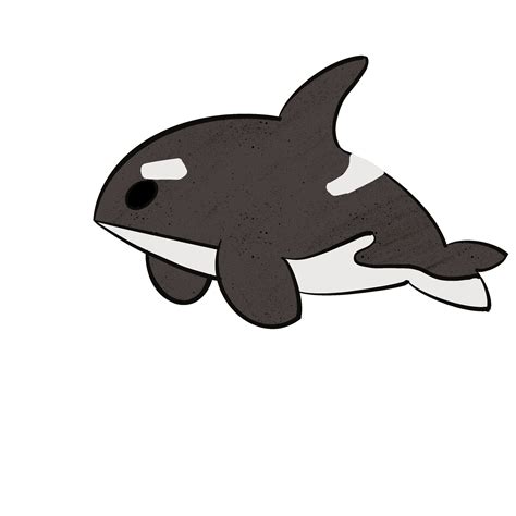 Orca Collision Llc Melbourne Fl