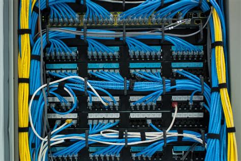 Bunch Of Multi Coloured Ethernet Network Cables Stock Image Image Of