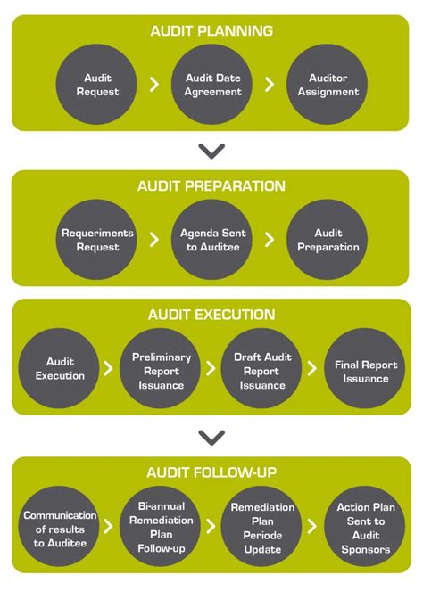 Audit Lifecycle Asociacion Forum Auditorias Afa Cphi Online