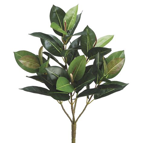 Exuberant Rubber Plant Stem 24in Silk Plant Warehouse