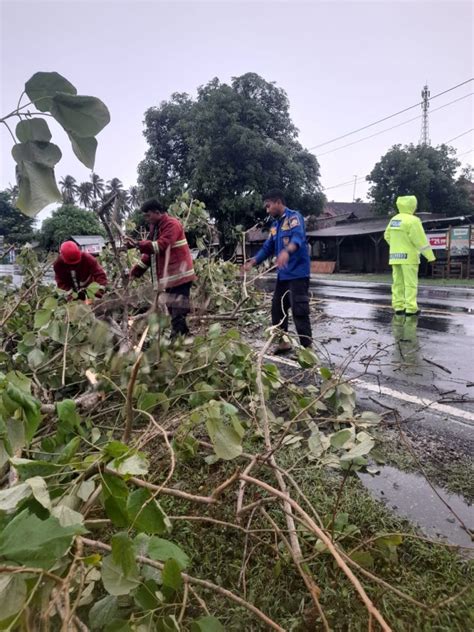 EVAKUASI POHON TUMBANG DI JALAN LINTAS SUMATRA Dinas Pemadam