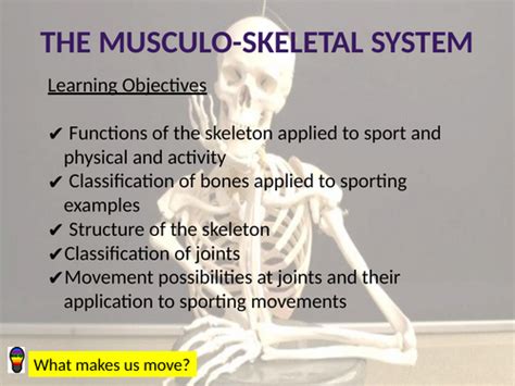 Aqa Gcse Pe Musculoskeletal System Full Chapter Teaching Resources