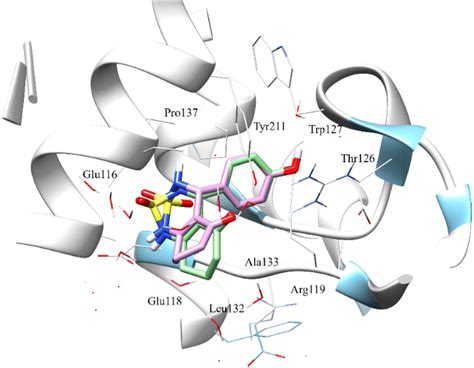 In vitro antitumor activity, molecular dynamics simulation, DFT study, ADME prediction, and Eg5 ...