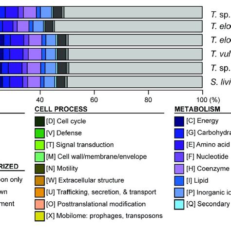 Functional Classification Of Protein Coding Genes The Functional Download Scientific Diagram