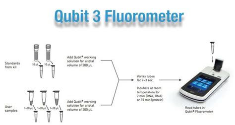 Thermo Fisher Scientific On Linkedin Workflow For The Qubit™ Assays Using The Qubit™ 3