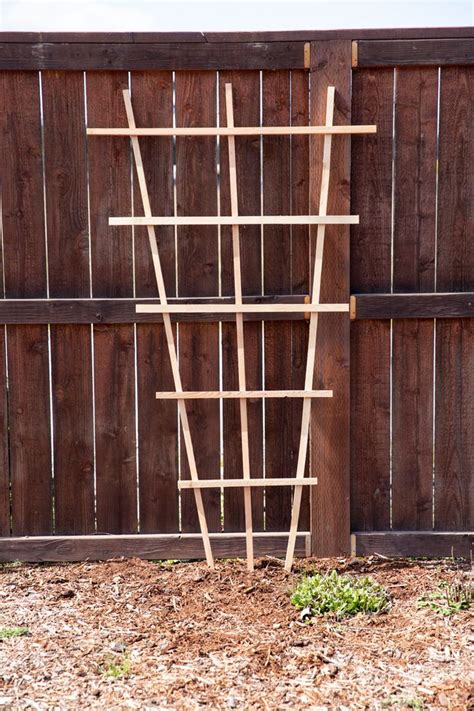 Lattice Garden Trellis Tutorial Lattice Garden Lattice Trellis Diy