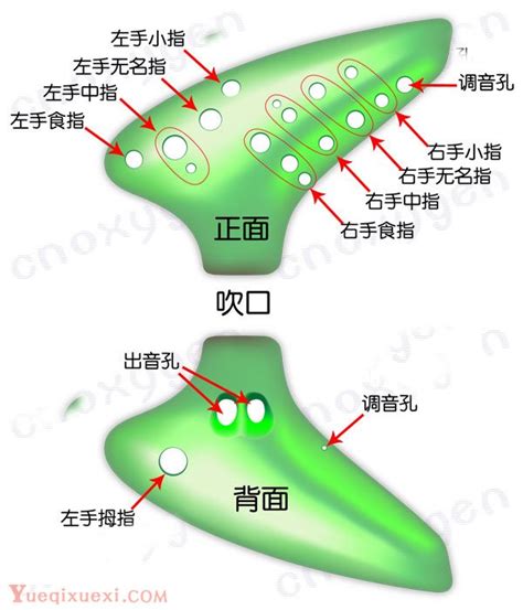 双管陶笛指法图 陶笛指法 乐器学习网