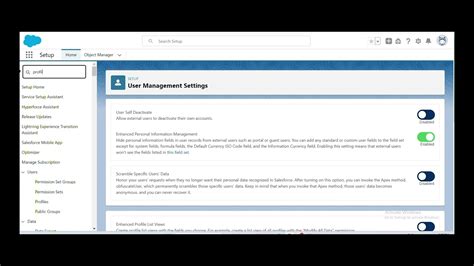salesforce profile edit button missing edit button in salesforce