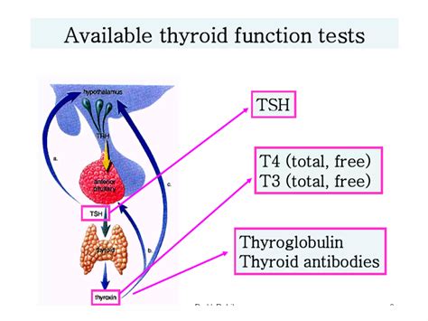 Thyroid Function Test TFT In Simple Way PDF