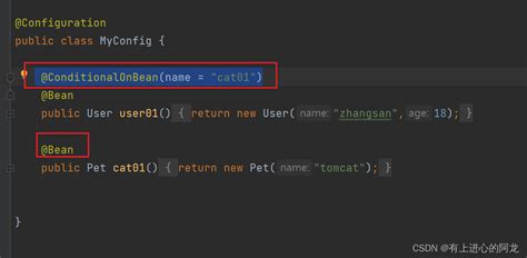 学习springboot2的第3天（2021 12 02）10 底层注解 conditional条件装配 条件装配使用场景 csdn博客