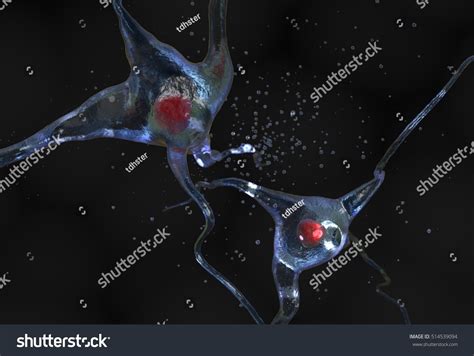 Nerve Cell Nucleus D Illustration Stock Illustration Shutterstock