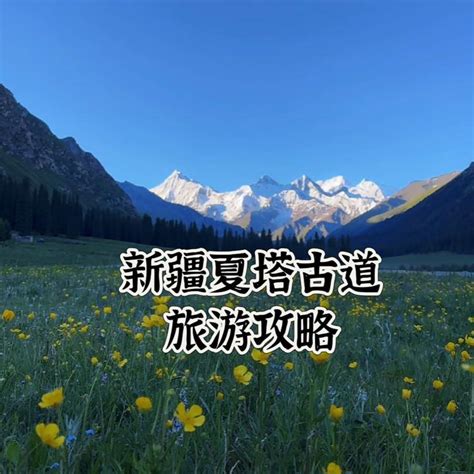 新疆夏塔古道国家森林公园旅游攻略 知乎