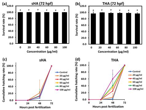 Development Of Biomaterials Based On Biomimetic Trace Elements Co Doped Hydroxyapatite Physical