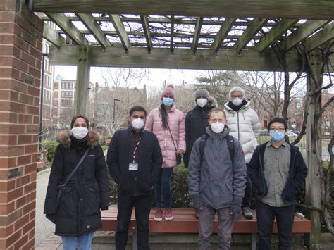 Wagner Lab Onset Of Flower Formation Chromatin Remodeling