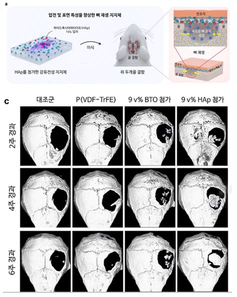 한국고분자소재연구조합