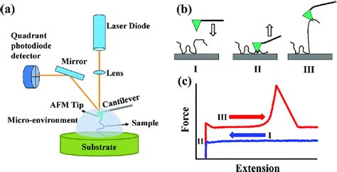 A The Structural Schematic Diagram Of Afm Smfs B The Working