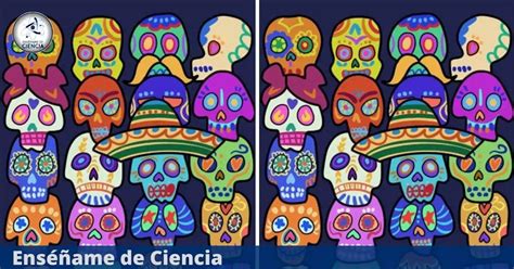 Encuentra La Gran Diferencia En El Acertijo Visual Y Demuestra Tu