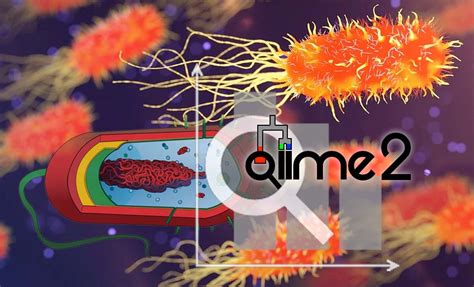 Microbiome Analysis Using Qiime Bioinformatics Uwmadison