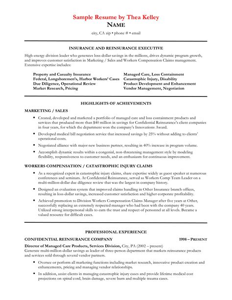 Sales Executive Resume Template