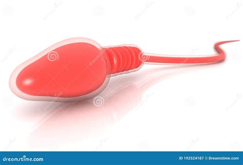 3d Illustration Of Sperm On White Stock Illustration Illustration Of