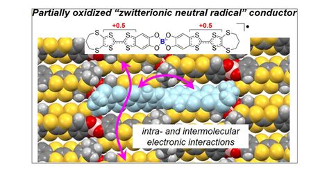 Partially Oxidized Purely Organic Zwitterionic Neutral Radical