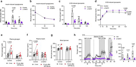 Intra Islet α Cell Gs Signaling Promotes Glucagon Release Nature