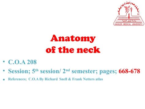 Head And Neck Anatomy Pptx