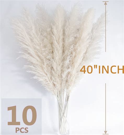 46 Inch 10 Stems Cream Pampas Grass Decor Tall Dry