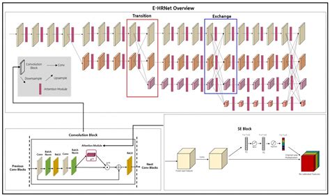 Electronics Free Full Text E Hrnet Enhanced Semantic Segmentation Using Squeeze And Excitation