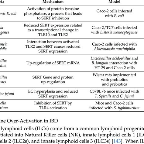 Relationships Between Bacteria And Sert Function Download Scientific