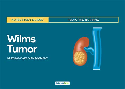 Wilms Tumor Nephroblastoma Nursing Care Management