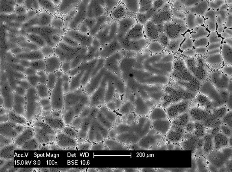 Sem Micrograph Secondary Electrons Of As Solidified Al 30 Wt Zn