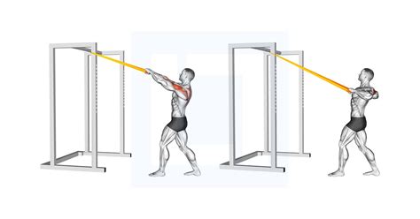 Cable One Arm Lat Pulldown Guide Benefits And Form