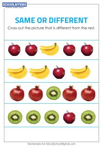 Identify The Different Objects Same And Different Worksheet For