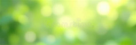 Abstract Spring Background Green Blurred Bokeh Lights Stock