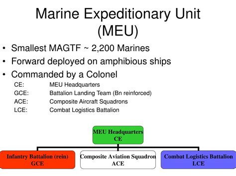 Ppt Basic Organization Powerpoint Presentation Free Download Id 4359619