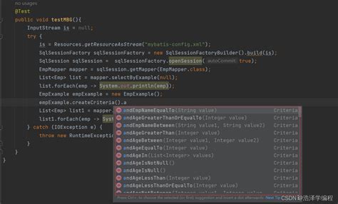 Mybatis的逆向工程 Csdn博客