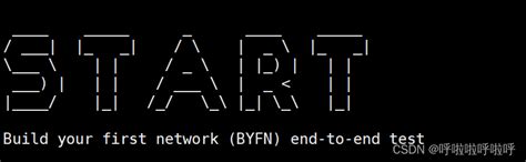 fabric安装与部署（fabric v2 0 0 版本） fabric部署 csdn博客