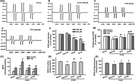 The Effect Of St10 On Free Radical Scavenging A Esr Spectra Of Ho