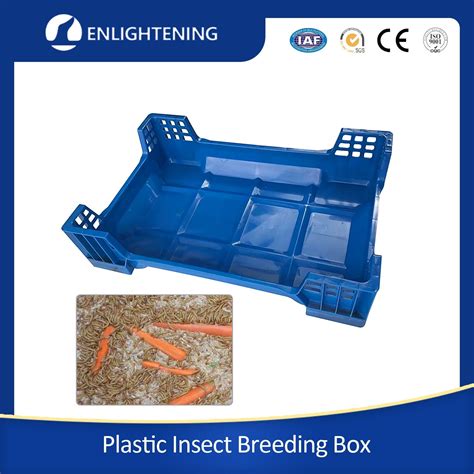Uniquely Designed 100 Pp Blue Stackable Food Safe Insect Breeding Box