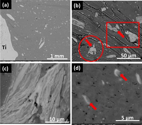 SEM Micrographs Showing A The Weld Cross Section B The Plasticized
