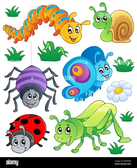 Butterfly Spider Snail Caterpillar Grasshopper Bug Bugs Ladybug