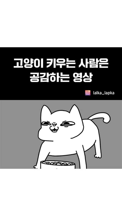 꾸래핑 엔터 • 𝐤𝐤𝐮𝐫𝐚𝐞𝐩𝐢𝐧𝐠 𝐞𝐧𝐭𝐞𝐫 남친 앞에서 기절한 척 해보기 ㅋㅋㅋ 유머 유머스타그램 유머짤 유머글 유머동영상 웃짤 웃긴 웃음