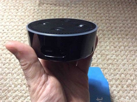 Reset Echo Dot Toms Tek Stop
