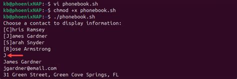 Bash Case Statement Syntax And Examples