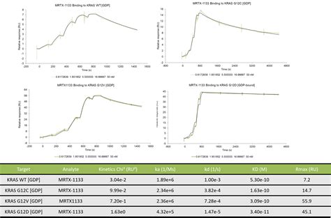 Kras Binding Kinetic Assay Service Via Spr Reaction Biology