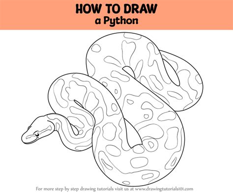 how to draw on python